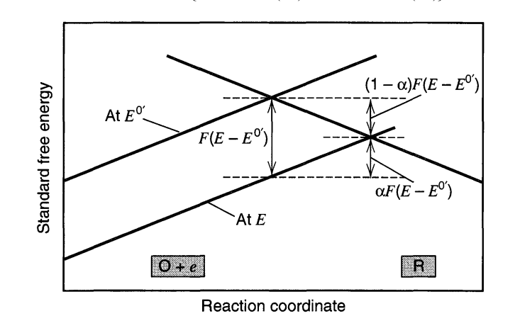 Deduction of B-V equation - 知乎