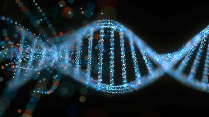 屡屡出现在电视、电影当中，DNA 技术是如何「破案」的？ - 知乎