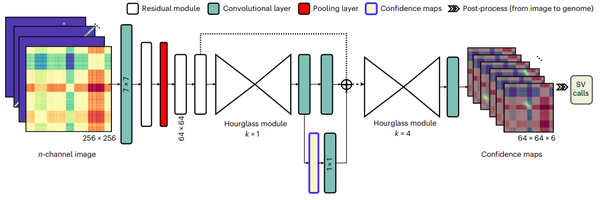 Nature Methods | Cue: 一个用于发现结构变异和基因分型的深度学习框架 - 知乎