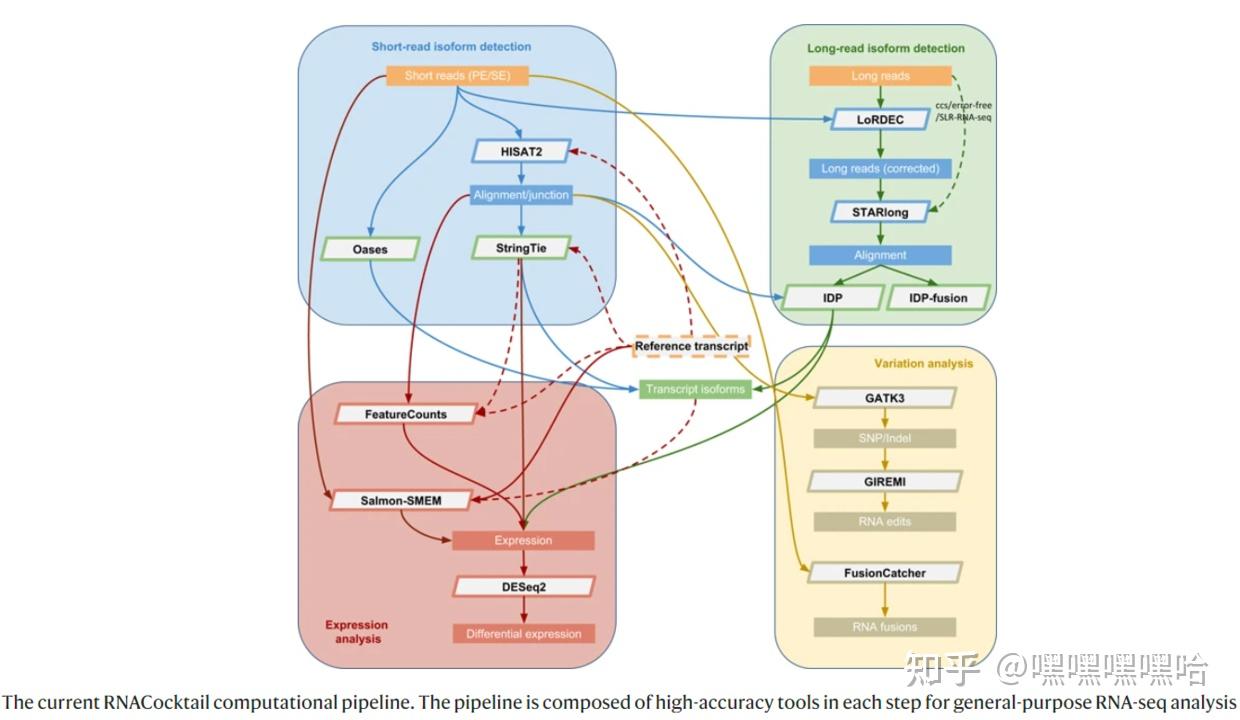 RNA-seq入门实战（二）：上游数据的比对计数——Hisat2+ featureCounts 与 Salmon - 知乎