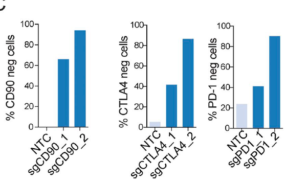电转百科指南⑤：CRISPR基因编辑的转染技巧与注意事项（上篇） - 知乎