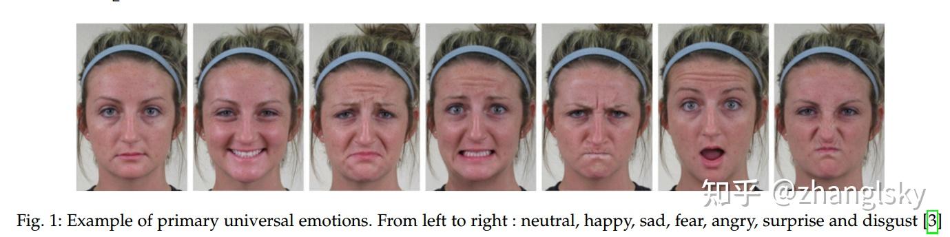 综述：Weakly Supervised Learning for Facial Behavior Analysis : A Review[2021] - 知乎