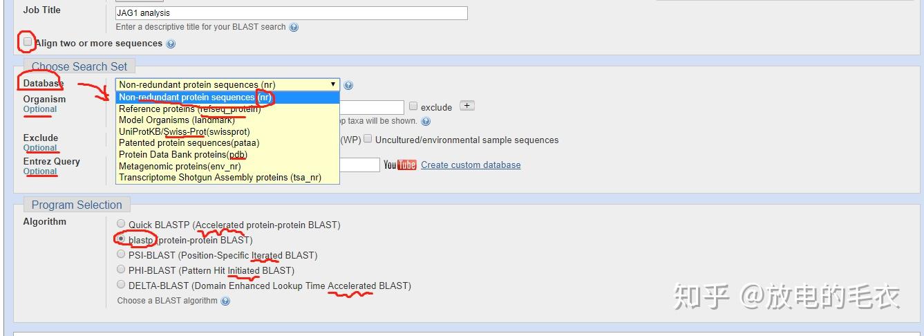 MEGA在分子进化树方面的应用 - 知乎