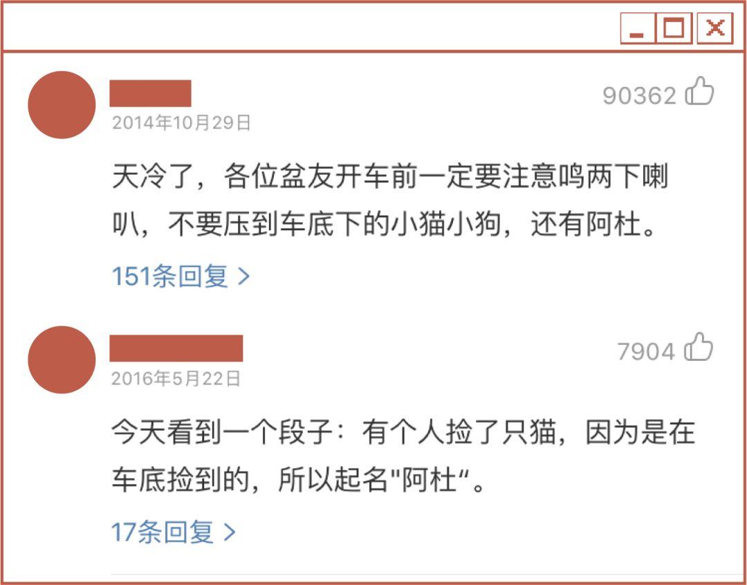 歌手阿杜是如何没落的？ - 知乎