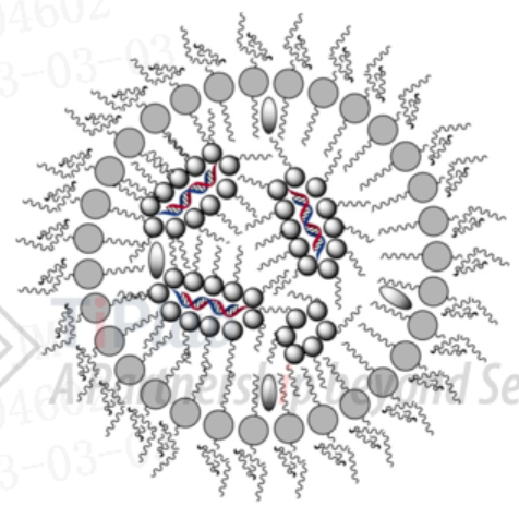 脂质体介绍之十一：Onpattro(patisiran脂质体） - 知乎