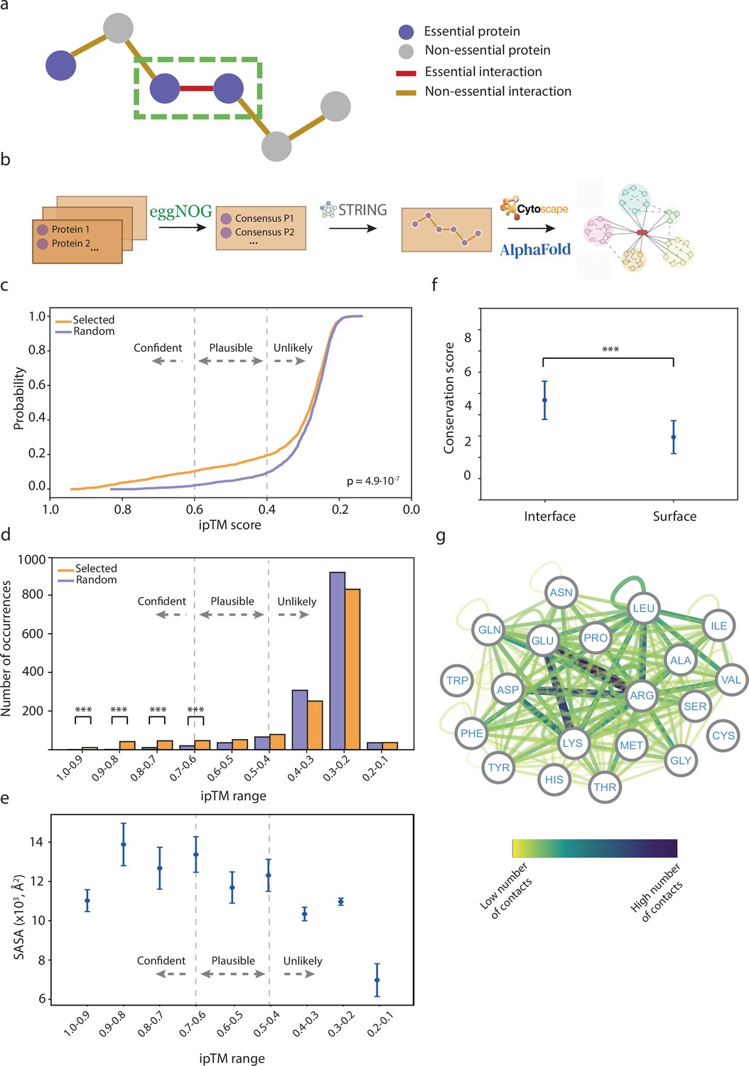 AlphaFold 预测细菌生存所需的 1402 种蛋白互作，最完整的细菌必需相互作用图谱 - 知乎