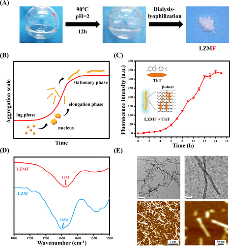 Biomacromolecules|华理屈雪/刘昌胜院士：可注射抗菌抗溶胀的PEG 水凝胶粘合剂！ - 知乎