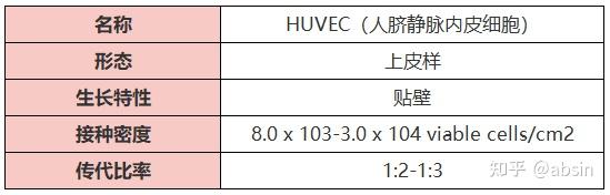 HUVEC细胞培养攻略 - 知乎