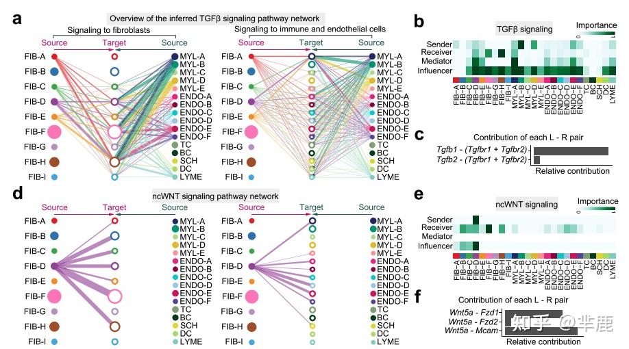 CellChat细胞通讯分析（上）--文献解读 - 知乎