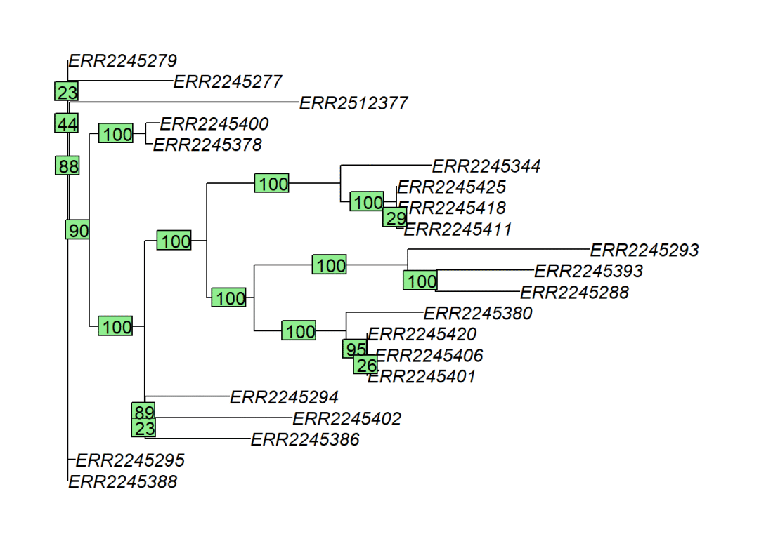 R包神器 | 系统发育和进化分析 - ape (一) - 知乎