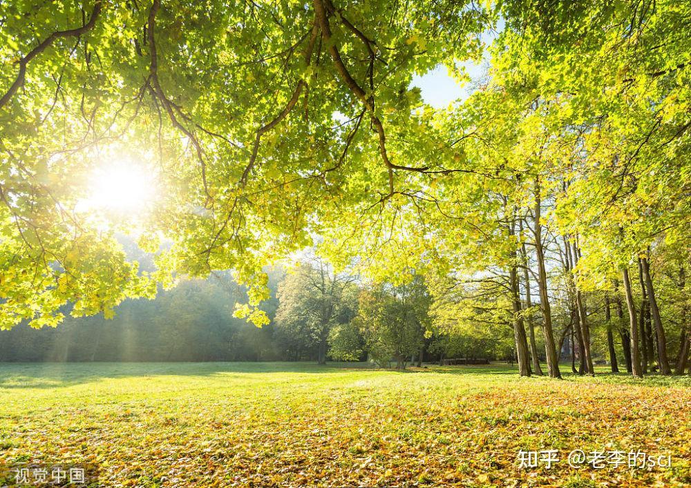 期刊索引的SCI、SSCI、EI、ISTP、ISSHP……都是什么意思 - 知乎