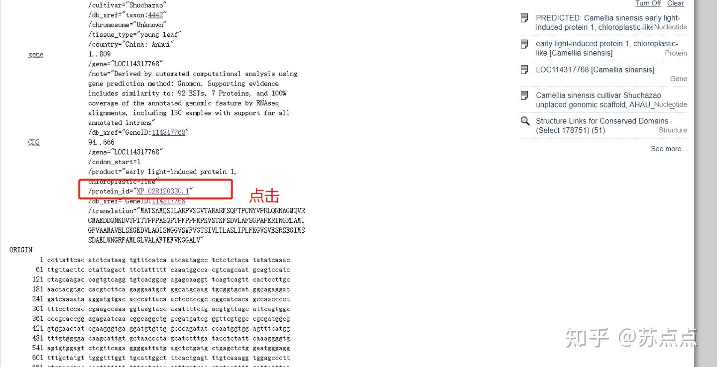 如何使用NCBI进行序列比对（alignment）？ - 知乎