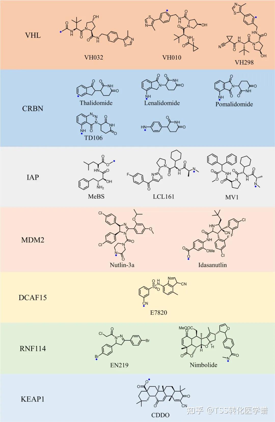【Molecular Biomedicine】PROTAC技术特点、高效PROTAC设计的一般原理、及面临的挑战和局限 - 知乎
