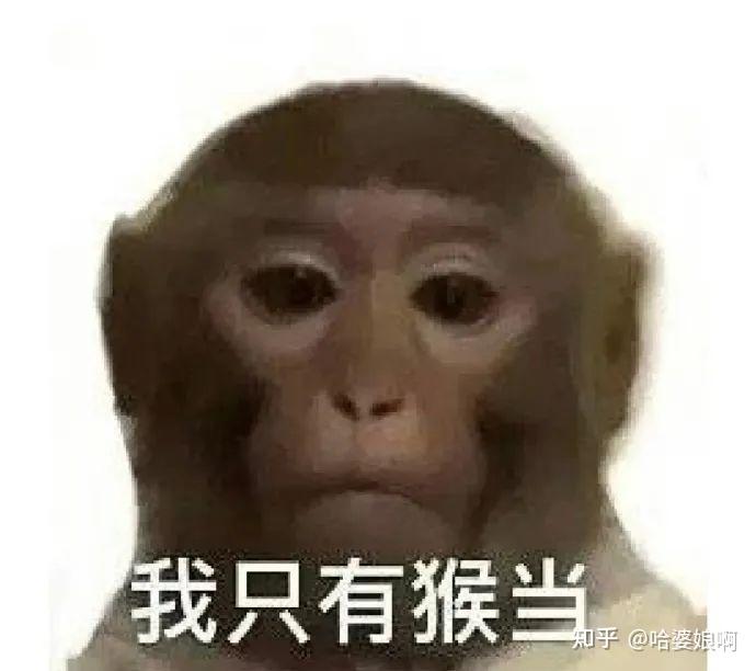 发点猴子表情包 - 知乎