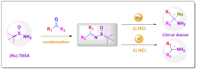 多功能用途的叔丁基亚磺酰胺（TBSA） - 知乎