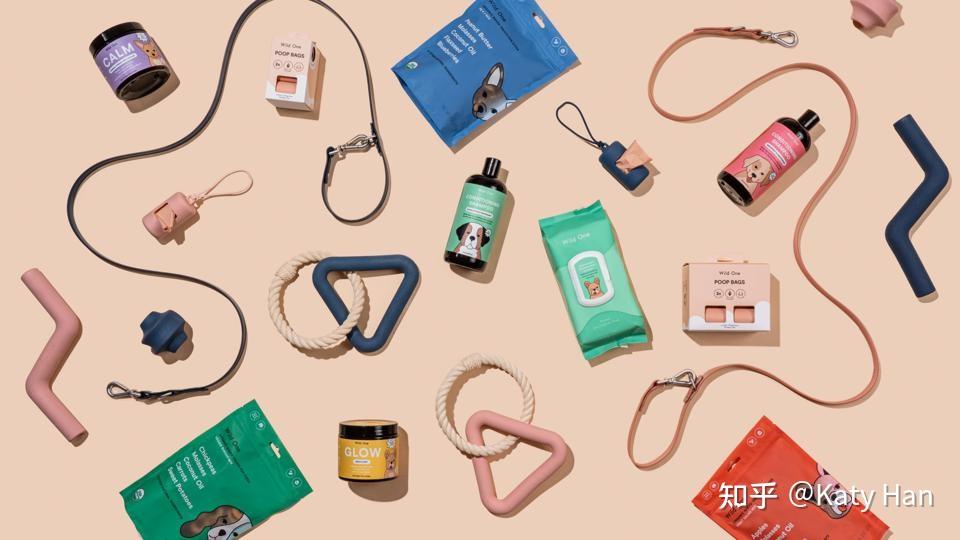 DTC宠物品牌Wild One是如何打造愉悦的爱宠体验的？ - 知乎