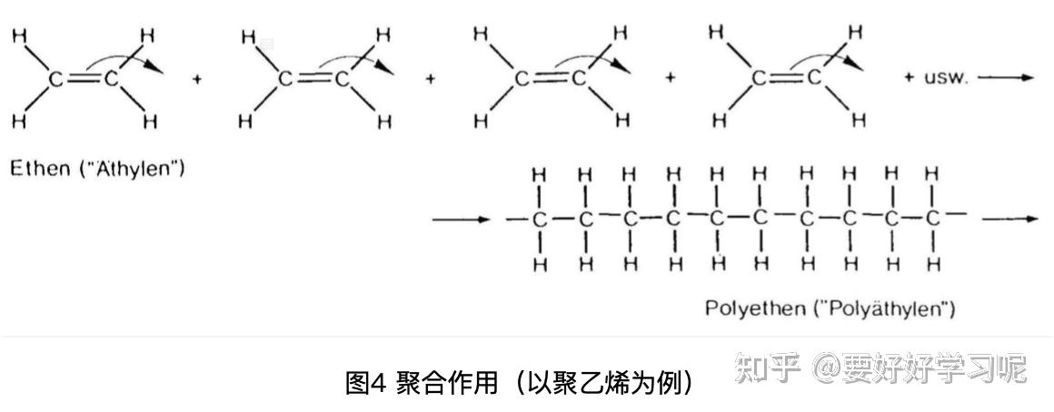 多聚体(Polymere)学习笔记 - 知乎