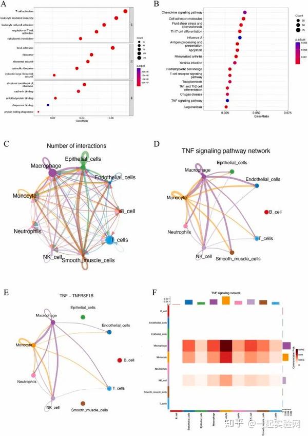 6+：单细胞测序+转录组测序+免疫细胞联合分析新思路 - 知乎