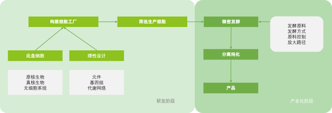 DeepTech发布《2023合成生物学在食品微生物制造中的应用与前景研究》——拓展食物边界，合成生物推动新食品加速创新 - 知乎