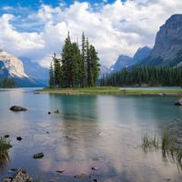 cs50课程 2025版本个人学习记录 - 知乎