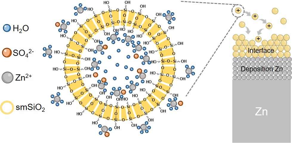 复旦赵东元/晁栋梁团队最新Angew：介孔电解液！20Ah！ - 知乎