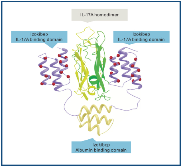 IL-17管线一力撑起的三家Biotech - 知乎