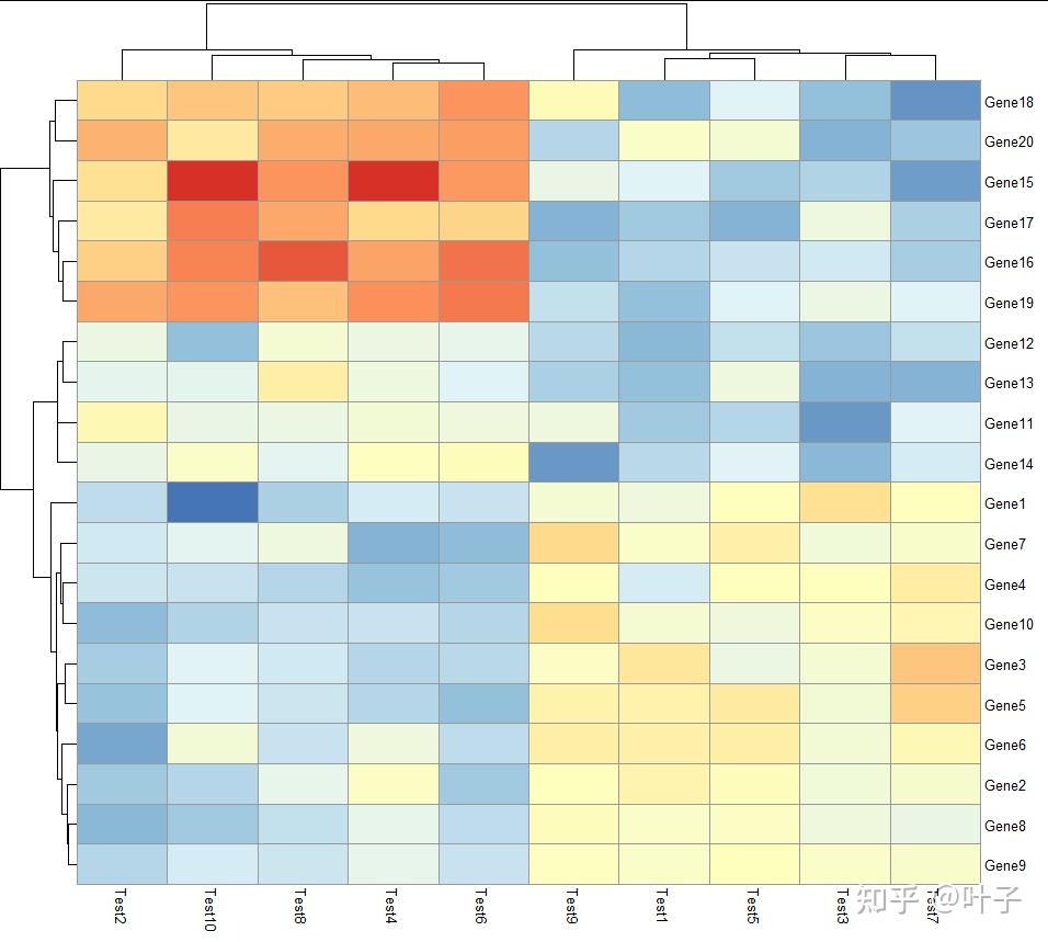 R-pheatmap绘制热图 -学习笔记 - 知乎