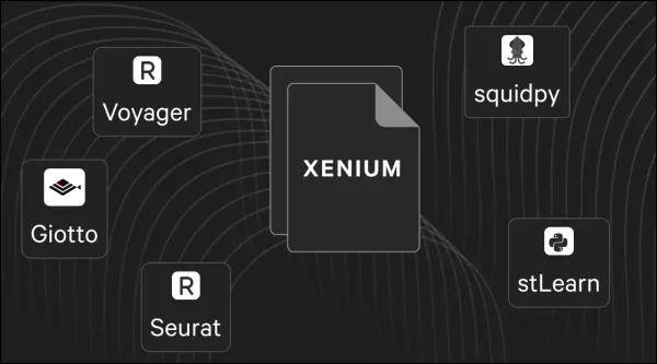 被科学界评为颠覆性创新的空间组学技术再添利器！Xenium原位分析带您走进空间生物学新时代 - 知乎