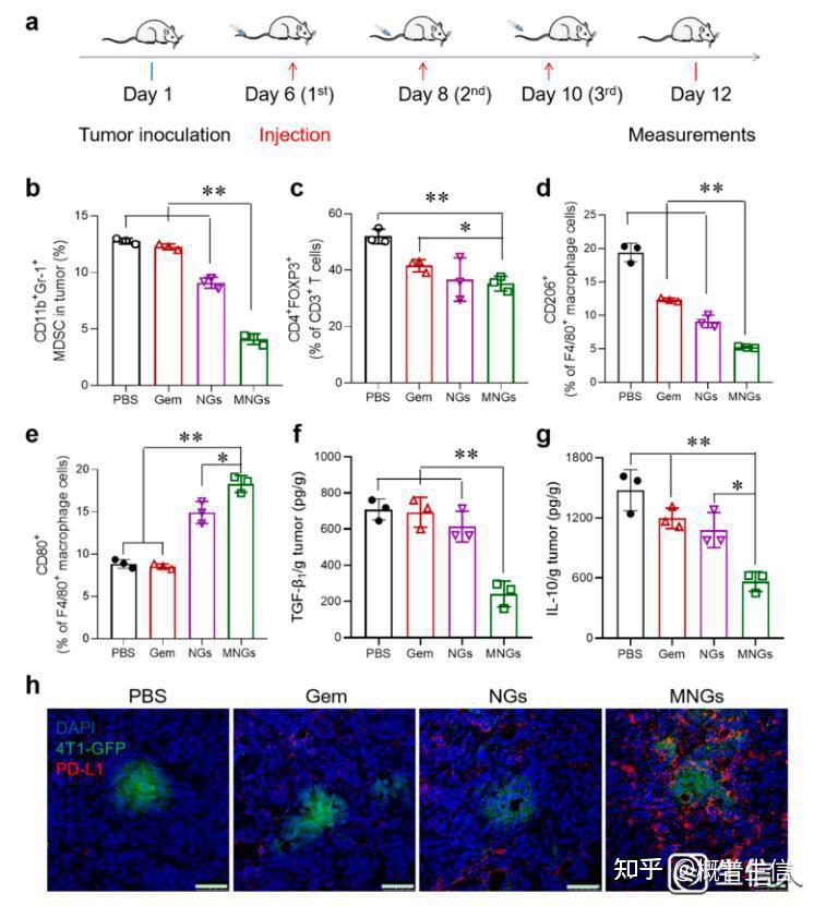 仿生递药系统（MNGs）改善肿瘤免疫治疗 - 知乎
