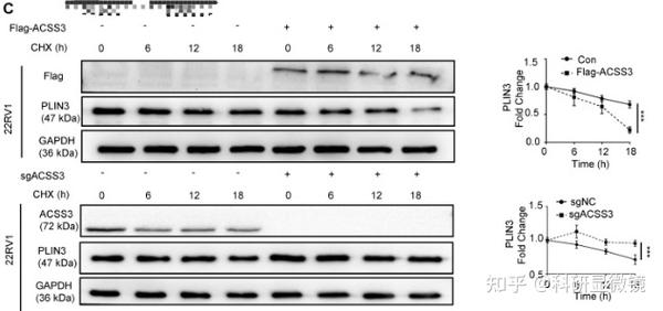 蛋白翻译后修饰——泛素化研究很难？其实你只是没有找对解读它的好办法 - 知乎