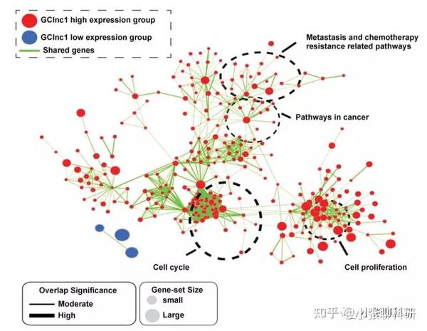 一篇24分的lncRNA研究是怎么做的？ - 知乎