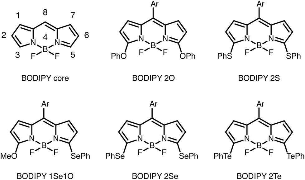 炔基/呋喃/寡聚噻吩/蒽基修饰BODIPY荧光染料 - 知乎