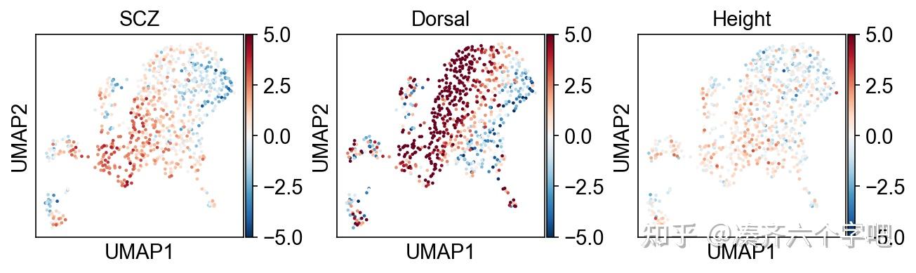 sc-DRS: 连接疾病GWAS与单细胞数据的分析方式 - 知乎