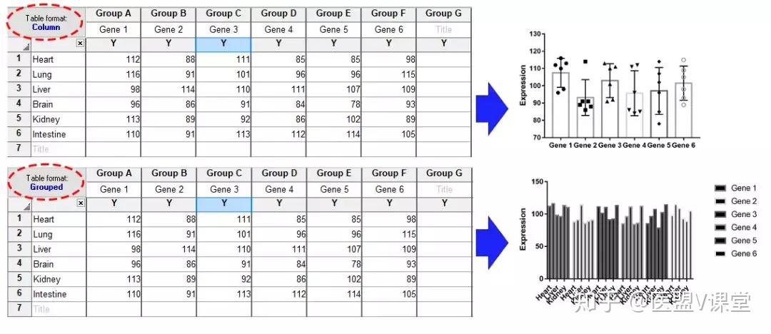 作图小白立马上手：用Graphpad Prism作柱状图 - 知乎
