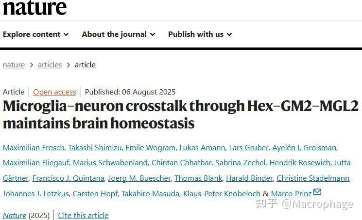 《Nature》：小胶质细胞与神经元通过Hex–GM2–MGL2的相互作用维持大脑的稳态 - 知乎