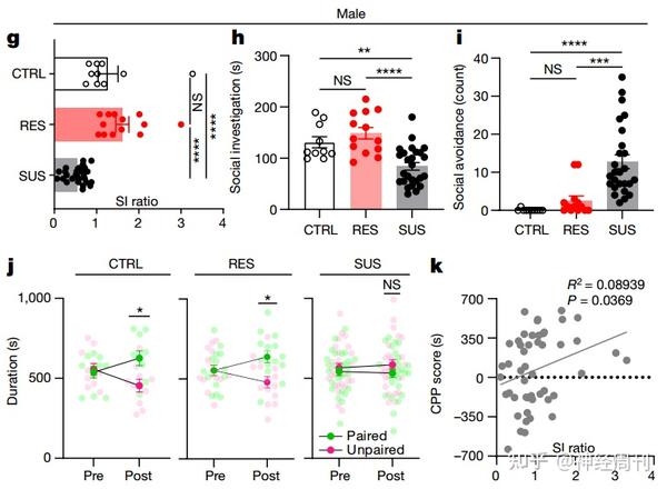 逃避社会交往的深层原因，社会应激损伤社交奖赏进而引发社交逃避 - 知乎