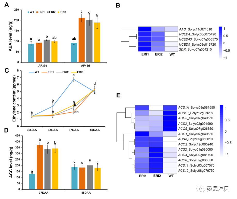 【Plant Physiol】EIN3/EILs调节番茄成熟过程中β-胡萝卜素和抗坏血酸的积累 - 知乎
