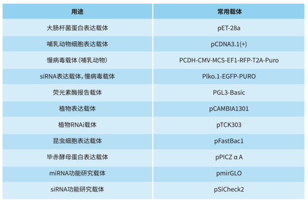 载体构建入门攻略——表达载体篇 - 知乎
