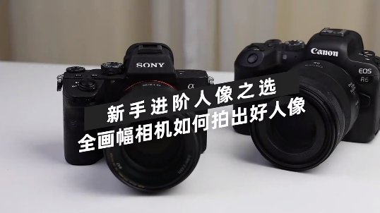 佳能r6和索尼a7m3买哪个好？索尼a7m3和佳能r6怎么选？索尼a7m3和佳能r6参数对比 - 知乎
