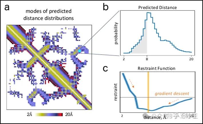 AlphaFold1简介：来自2024年的回顾 - 知乎