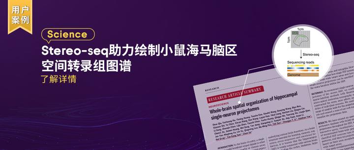 Science | Stereo-seq助力揭示小鼠海马脑区的空间投射规律 - 知乎