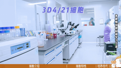 3D4/21细胞培养，猪肺泡巨噬细胞培养攻略 - 丰晖生物 - 知乎