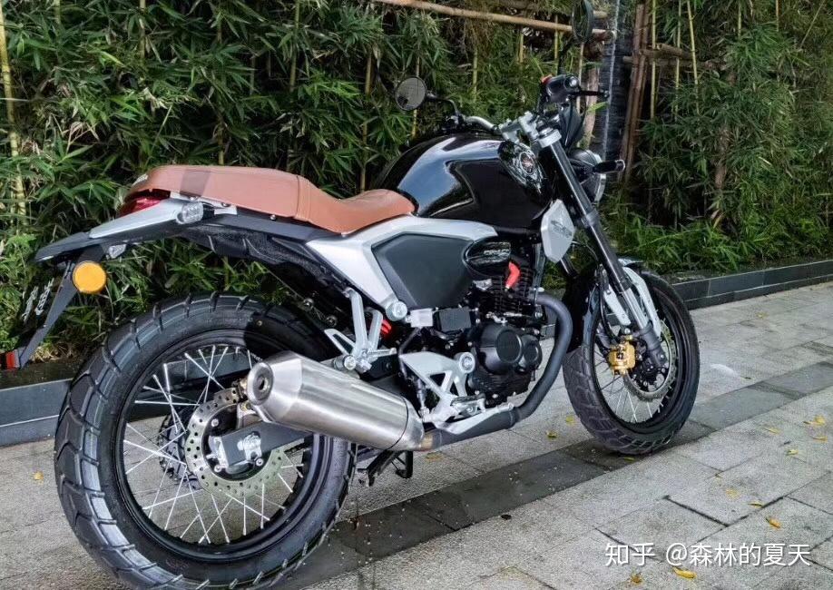 爱上本田自由50，鸷道190ss - 知乎