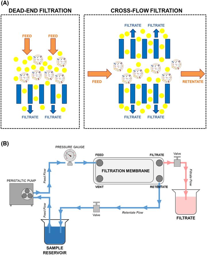切向流过滤or超速离心，究竟怎么选？ - 知乎