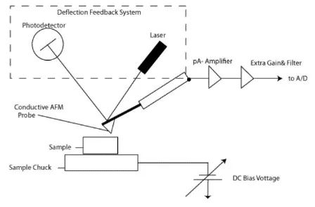 AFM之PeakFoce TUNA和C-AFM - 知乎