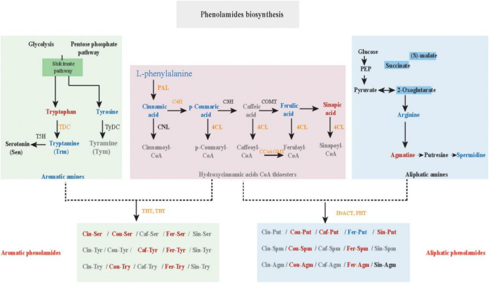 项目文章 | FRONT PLANT SCI&ChIP-seq助力揭示青稞对白粉病的抗性机制 - 知乎