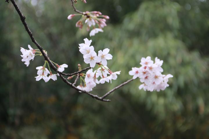 用爬虫抓取雪球网站股票信息 知乎