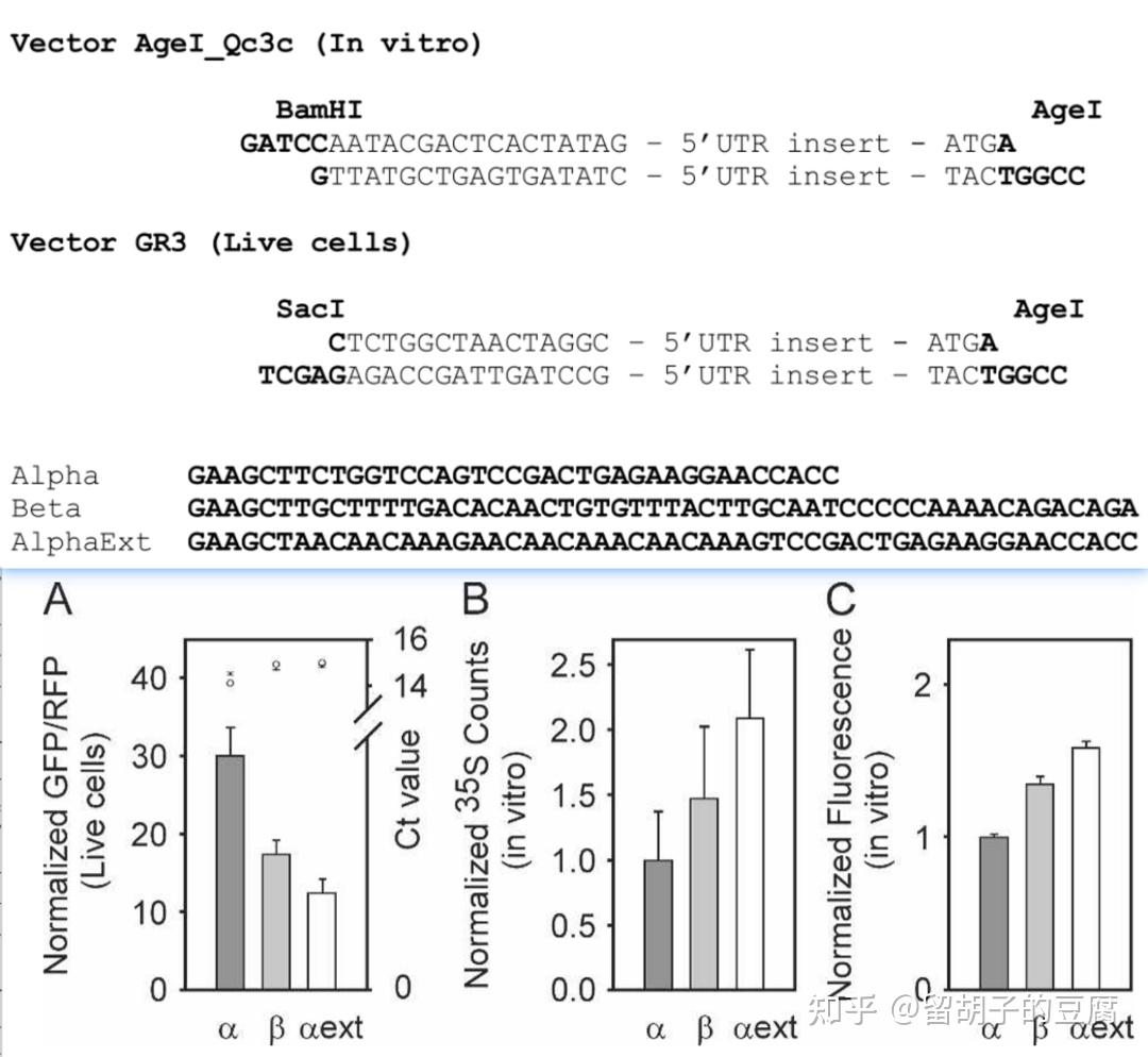 改变5'UTR结构，控制翻译效率 - 知乎