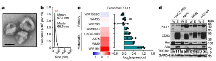 非因解读| Reverse Phase Protein Array（RPPA）蛋白组学技术在外泌体分析中的应用 - 知乎
