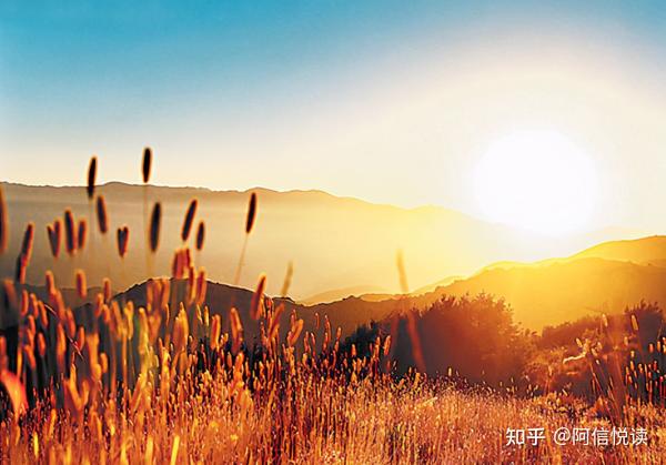 余生不长，愿有人懂你悲欢，知你冷暖 知乎